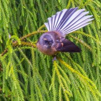 First Gen Photo and Blog – Family Histories, Work, Travel, Sport and ...