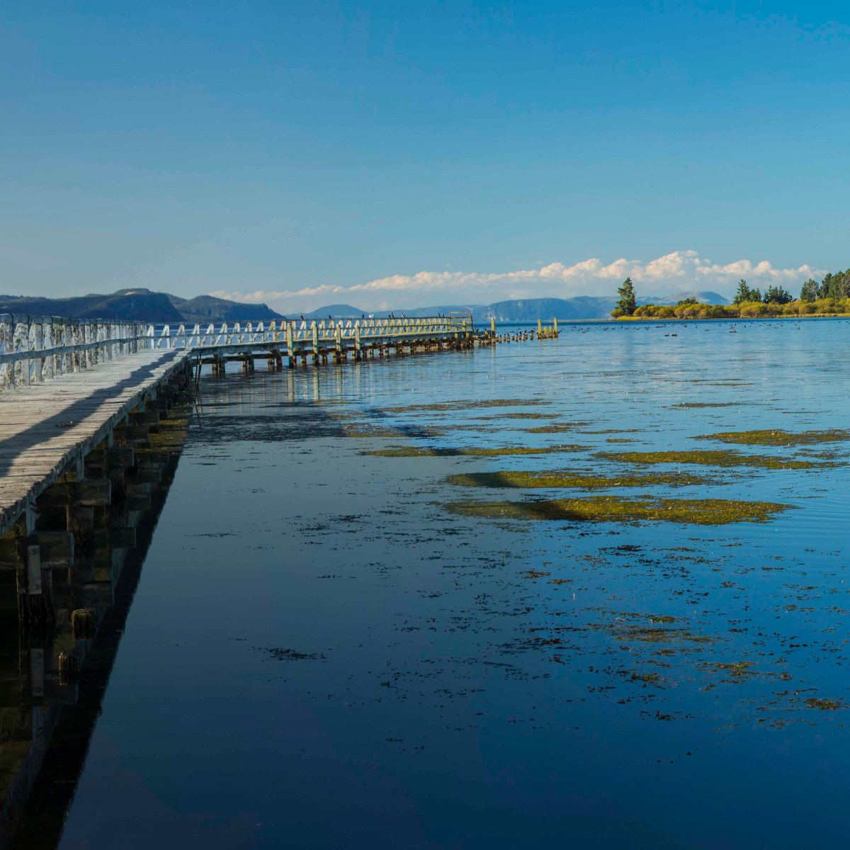 First Gen Photo and Blog – Family Histories, Work, Travel, Sport and ...